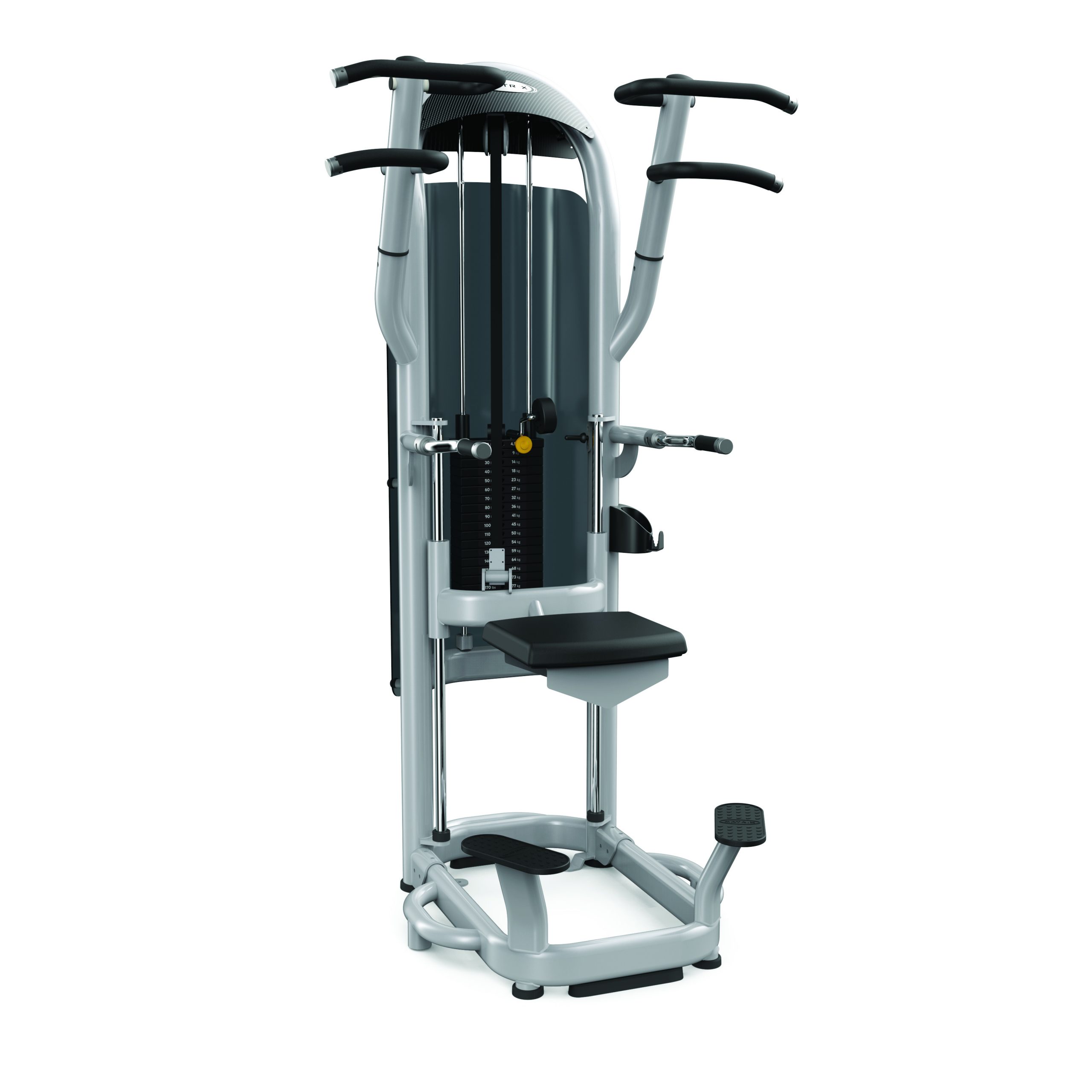 Aura Dip / Chin Assist - Johnson Fitness Indonesia